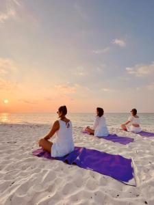 Balma Beach Inn, Faafu (updated prices 2025)