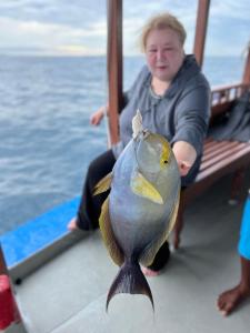 Balma Beach Inn, Faafu (updated prices 2025)