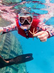 Balma Beach Inn, Faafu (updated prices 2025)