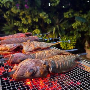 Balma Beach Inn, Faafu (updated prices 2025)