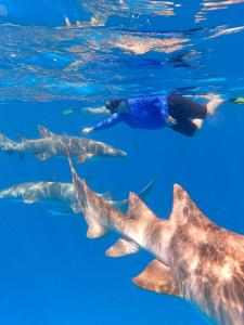 Balma Beach Inn, Faafu (updated prices 2025)