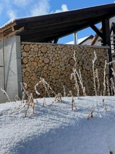 Casa Roma Lac, Brebu Nou (updated prices 2025)