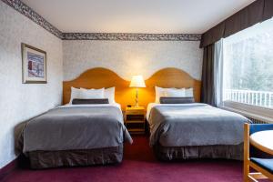 Bow View Lodge, Banff (updated prices 2025)