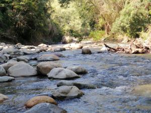 Refugio Rabones, Cabañas & Spa Junto al Rio, Colbún Alto (updated ...