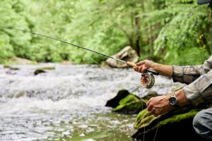 Primland Resort, Auberge Resorts Collection, Meadows of Dan (updated ...