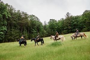 Primland Resort, Auberge Resorts Collection, Meadows of Dan (updated ...