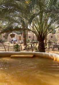 Siwa Palace Lodge, Siwa (updated prices 2025)