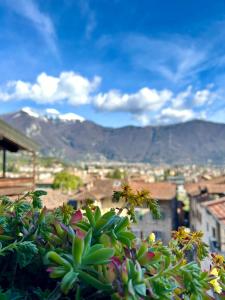 Cri's House, Arco (updated prices 2026)