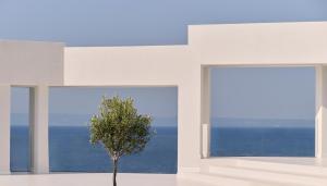 OLYN VILLAS, Nikiti (updated prices 2025)