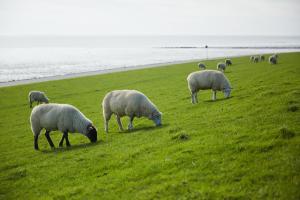 Strandhotel Salty, Büsum (updated prices 2025)