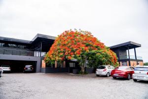 Zar Hotel, Amanzimtoti (updated prices 2025)