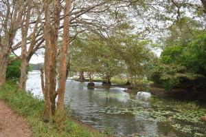 gammada vila restaurant, Habarana (updated prices 2025)