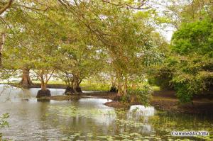 gammada vila restaurant, Habarana (updated prices 2025)