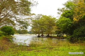 gammada vila restaurant, Habarana (updated prices 2025)