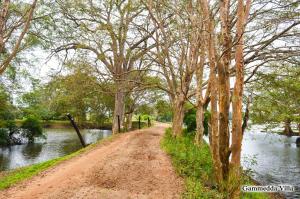 gammada vila restaurant, Habarana (updated prices 2025)