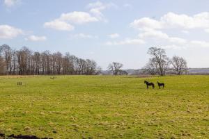 Magnificent Period Country House, Rothley (updated prices 2025)