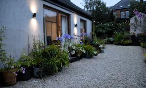Ropewalk Cottage - A Little Treasure By The Coast, Portaferry (updated ...