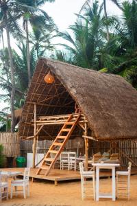 Thalassa Beach Boutique Resort, Goa Velha (updated prices 2025)