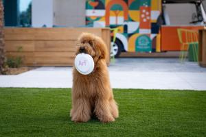 Aloft Orlando Lake Nona, Orlando (updated prices 2025)