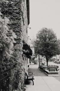 The Winter Inn, Greenville (updated prices 2025)