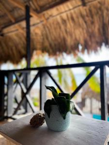 Palenque Beach House, San Onofre (updated prices 2025)
