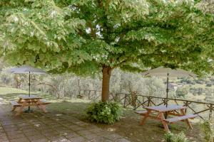 Agriturismo Il Mulino delle canutole, Magione (updated prices 2025)