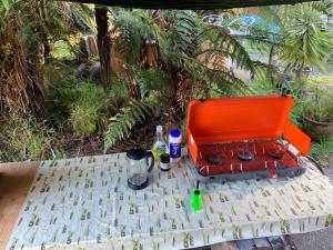 Whare&geothermal pool by lake Taupo, Turangi (updated prices 2025)