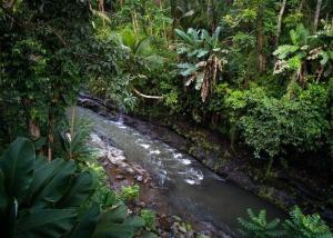 Ubud zen river house, secluded tranquil retreat in nature, Ubud ...