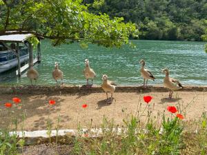 Lake Austin Spa Resort - All Inclusive, Austin (updated prices 2025)
