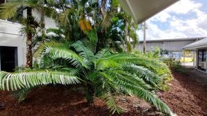 Tully Motel, Tully (updated prices 2025)