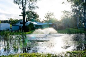 Whitevale Luxury Estate, Lovedale (updated prices 2025)