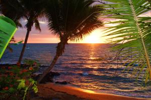 Vanila Hotel & Spa, Ambaro, Madagascar - Booking.com