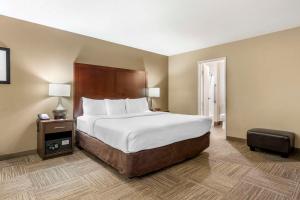Comfort Inn & Suites Sea-Tac Airport, SeaTac (updated prices 2025)