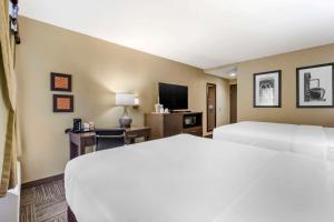 Comfort Inn & Suites Sea-Tac Airport, SeaTac (updated prices 2025)