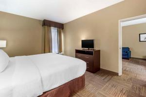 Comfort Inn & Suites Sea-Tac Airport, SeaTac (updated prices 2025)