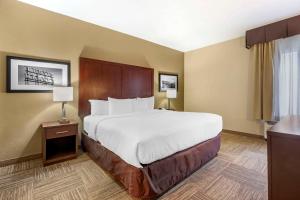 Comfort Inn & Suites Sea-Tac Airport, SeaTac (updated prices 2025)