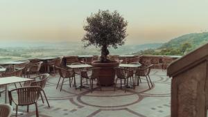 Zinar Castle, Kraków (aktualne ceny na rok 2025)