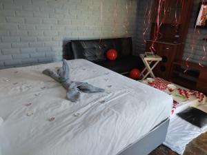 Snow Park, Kestell (updated prices 2026)