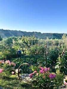 Relaxing farmhouse, San Marino (updated prices 2025)