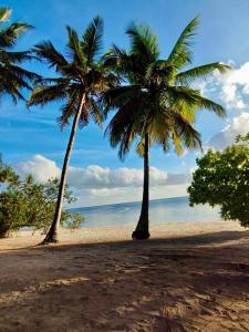 Turkuaz Beach Zanzibar, Kumba Urembo (updated prices 2025)