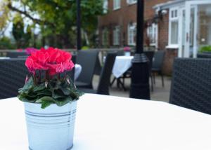 Warren Lodge, Shepperton (updated prices 2025)