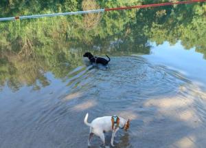 Casa rural Butaka, Alcalá del Júcar (updated prices 2025)
