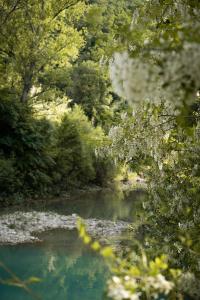 Glamping Dragonja River, Šmarje (updated prices 2024)