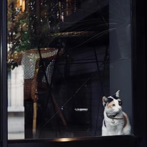 Heyyyy Bangkok, Bangkok (updated prices 2025)