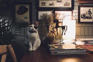 Heyyyy Bangkok, Bangkok (updated prices 2025)