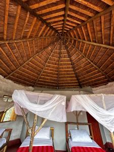 Maasai Eco Boma & Lodge - Experience Maasai Culture, Makuyuni (updated ...