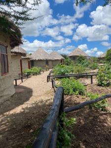 Maasai Eco Boma & Lodge - Experience Maasai Culture, Makuyuni (updated ...