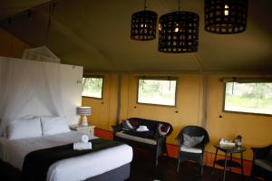 Pakiri Beach Holiday Park, Pakiri (updated prices 2025)