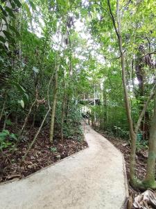 Jungle Living Tree Houses, Monteverde Costa Rica (updated prices 2025)