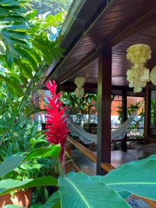 Aratinga Inn, Abraão (updated prices 2025)